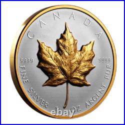 Canada Ultra-High Relief $20 MAPLE LEAF Coin, Queen Memory Mark, SML ...