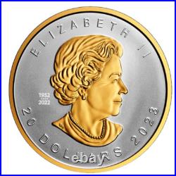 Canada Ultra-High Relief $20 MAPLE LEAF Coin, Queen Memory Mark, SML ...