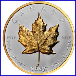 Canada Ultra-High Relief $20 MAPLE LEAF Coin, Queen Memory Mark, SML ...
