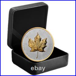 Canada Ultra-High Relief $20 MAPLE LEAF Coin, Queen Memory Mark, SML ...